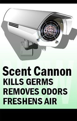 Untitled Document [www.scentandrea.com]